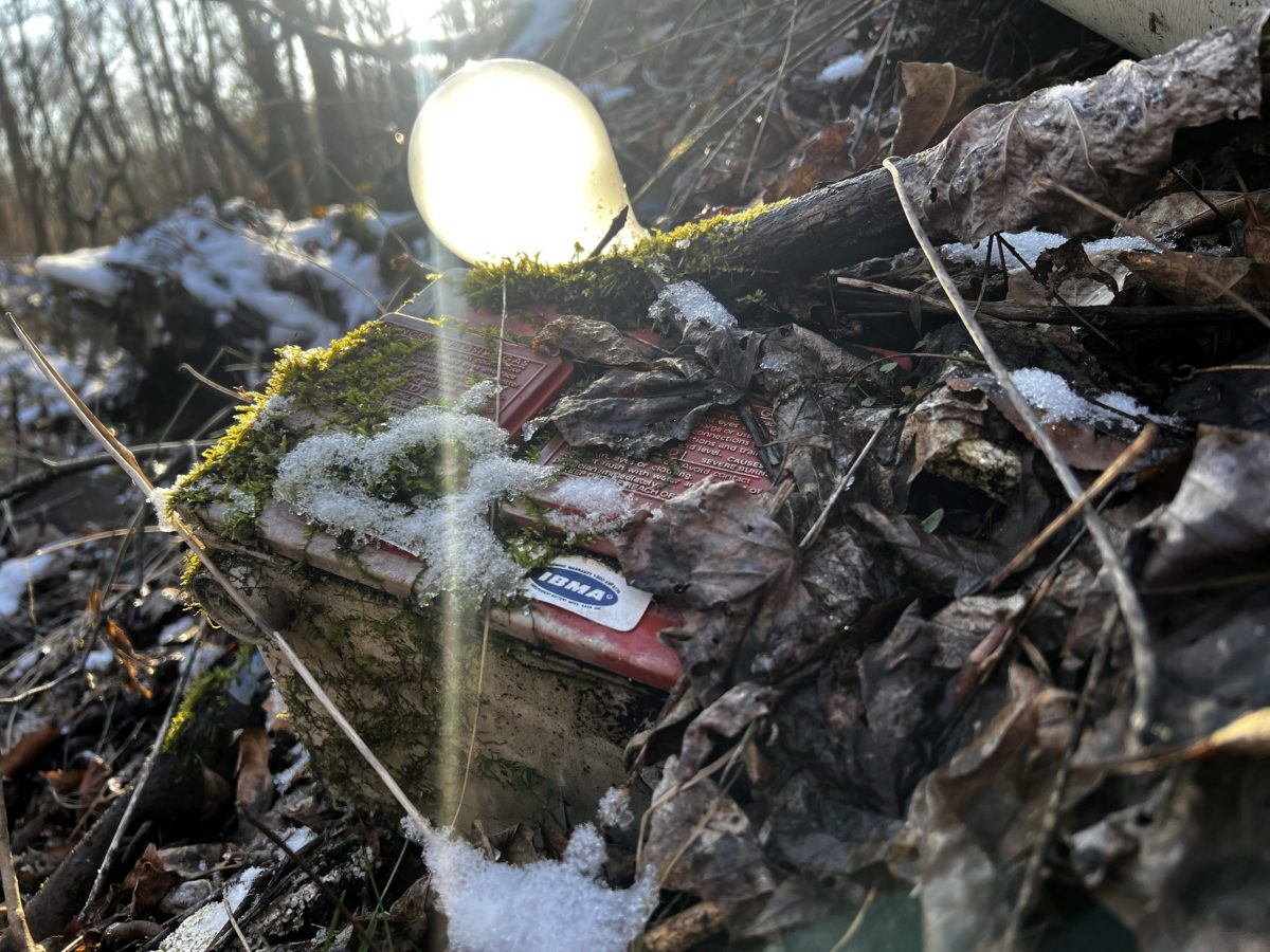 Republic teen’s photo wins prize in state anti-litter contest ...
